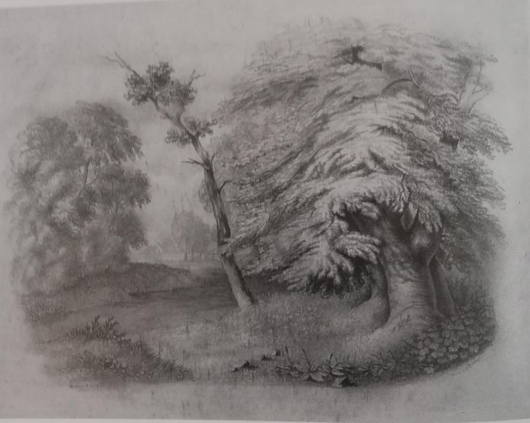 Relax like a Bronte… – Gone to the heather